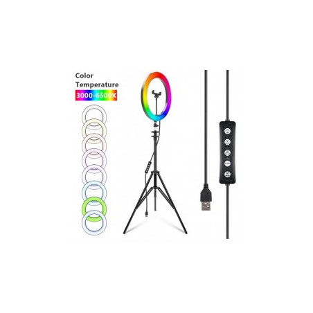 Žiedinė LED šviesos RGB lempa su stovu